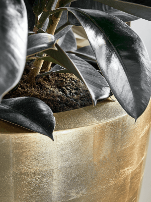 Acheter Pot Haut Baq design Glossy Gold jardinerie Natura Béziers ...